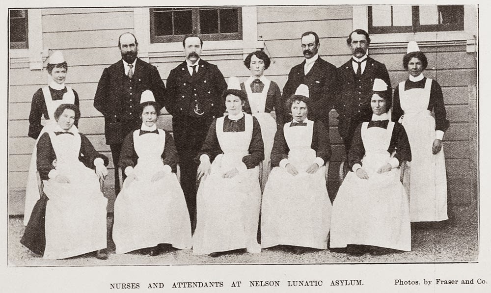 Reasons for Insane Asylum admissions in the Victorian era