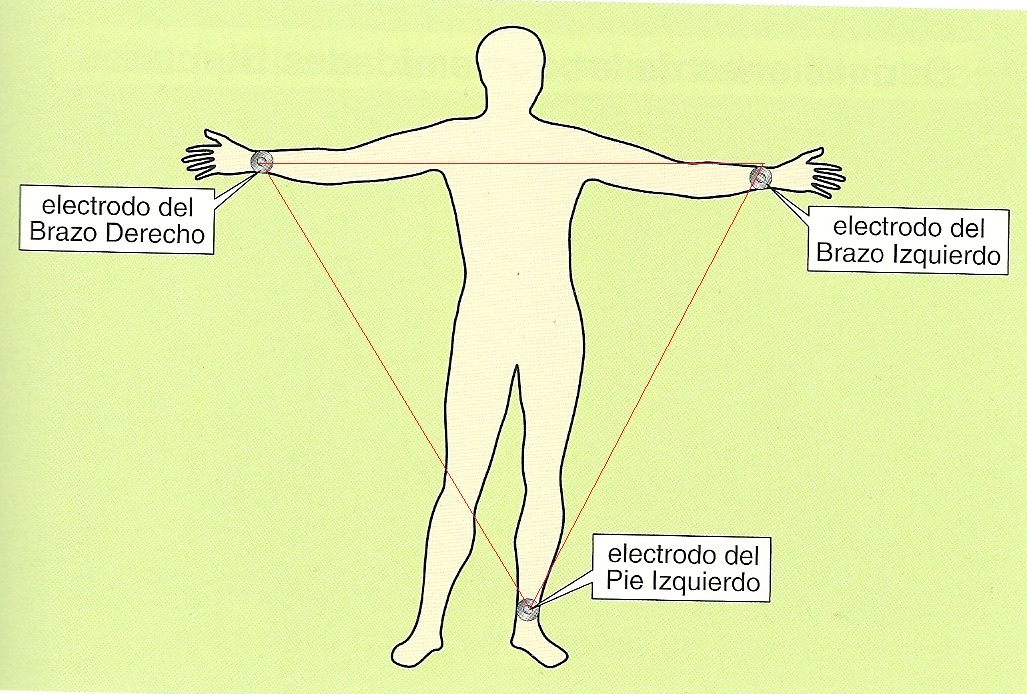 Dr. Rafael Soto - Electrocardiografía - Cardiología clínica: Triángulo ...