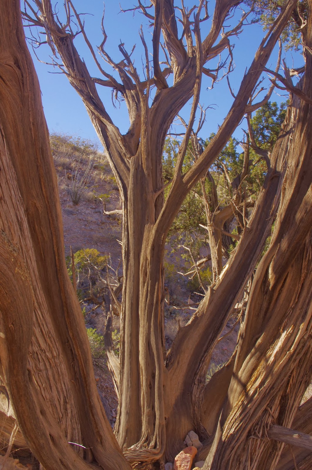 Southern New Mexico Explorer: Robledo Mountains- "Twin Slot Canyons"