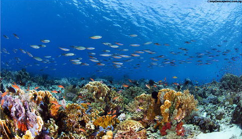 VIAGEM, TURISMO E AVENTURAS POR LUGARES INCRÍVEIS : 7 MARAVILHAS DA ...