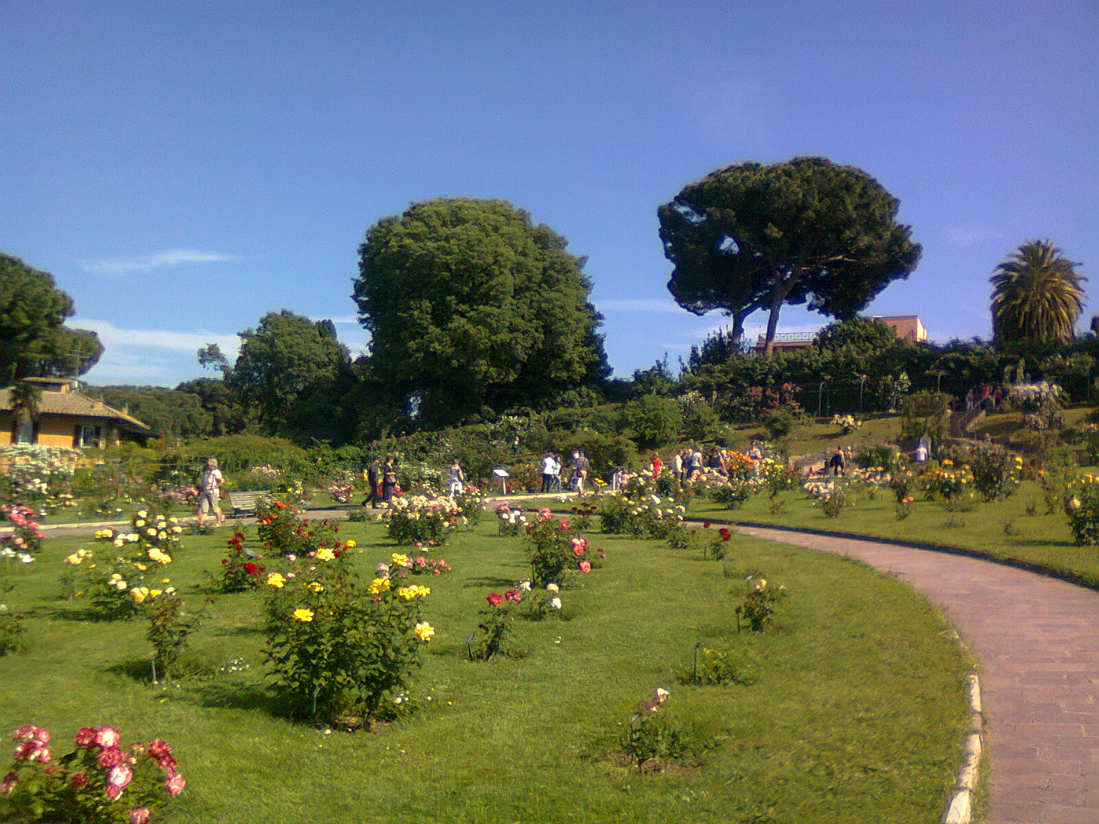In bici per Roma: Da oggi riaperto al pubblico il Roseto Comunale all ...