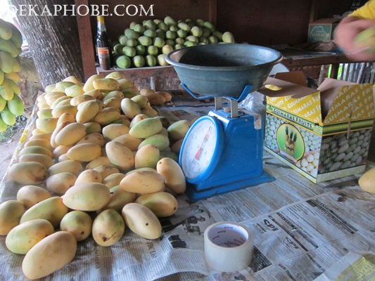 Conquering Guimaras in a Day