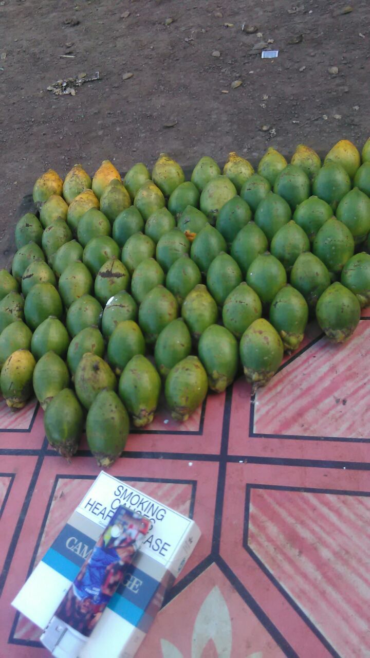 A Pride of A Tribe : Chewing “Buai”: Beyond traditional boundaries!