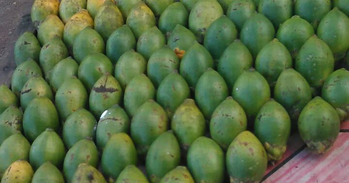 A Pride of A Tribe : Chewing “Buai”: Beyond traditional boundaries!