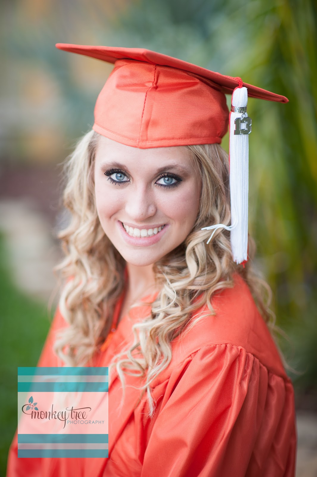 Monkey Tree Photography