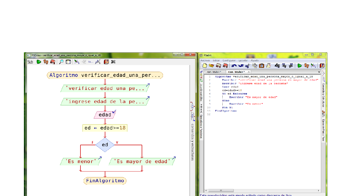 ACTIVIDAD No 5: EJERCICIOS PSEINT