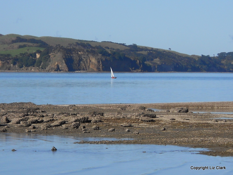 Maungaturoto Memories