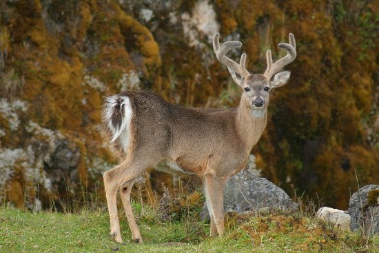 Colombia Al Límite: ¡¡¡PARQUE NACIONAL NATURAL CHINGAZA!!!