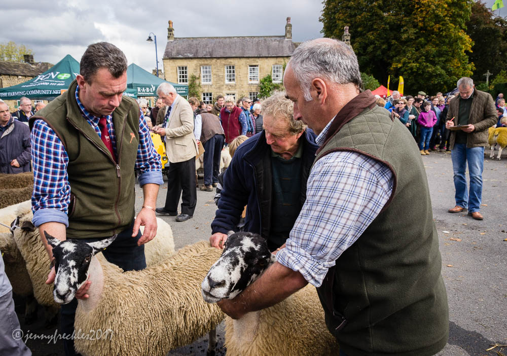 Saltaire Daily Photo: Masham Sheep Fair