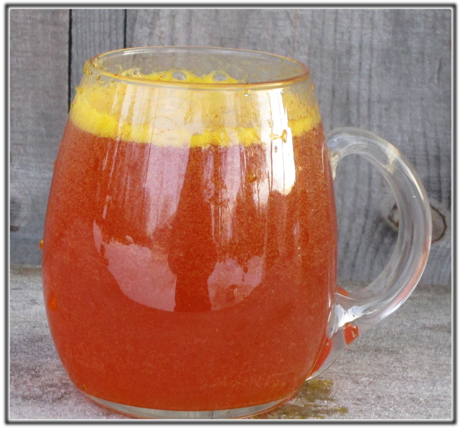 Gör egen kombucha! Scoby svamp till salu, skickas med vanlig post på 1 ...