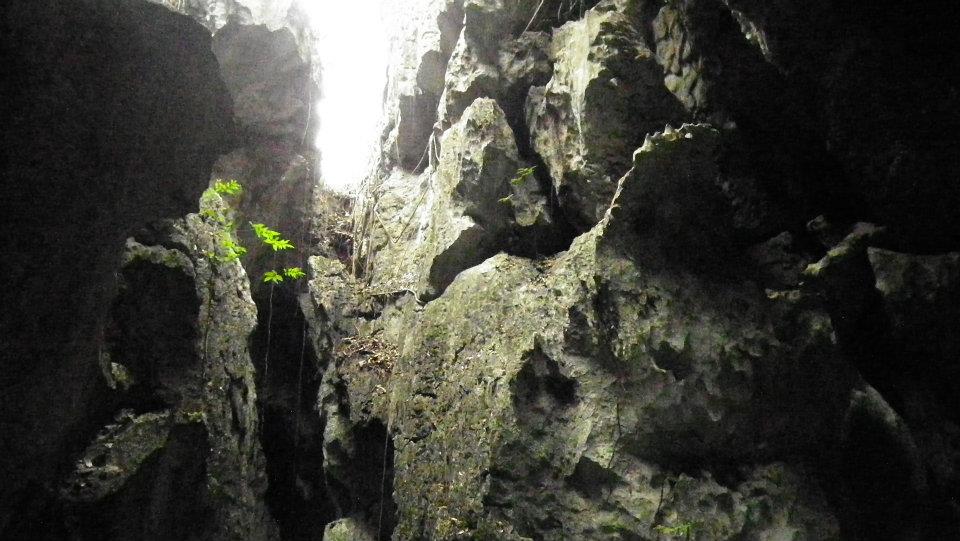 Roam-a-holic: Exploring Bayukbok Cave