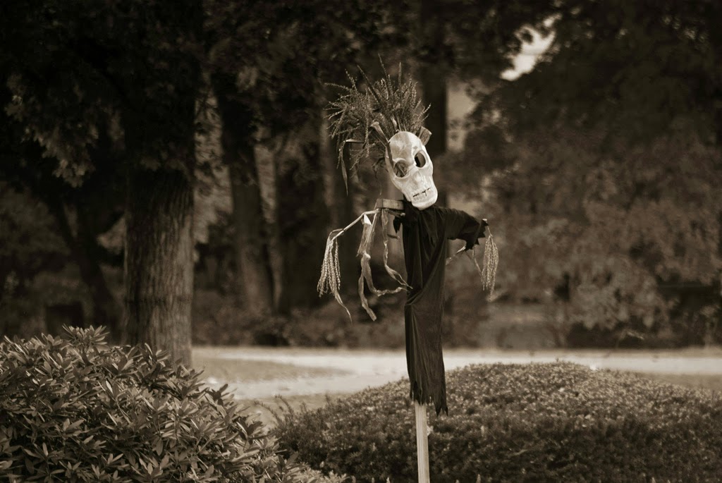 PUMPKINROT.COM: The Blog: Unnerving