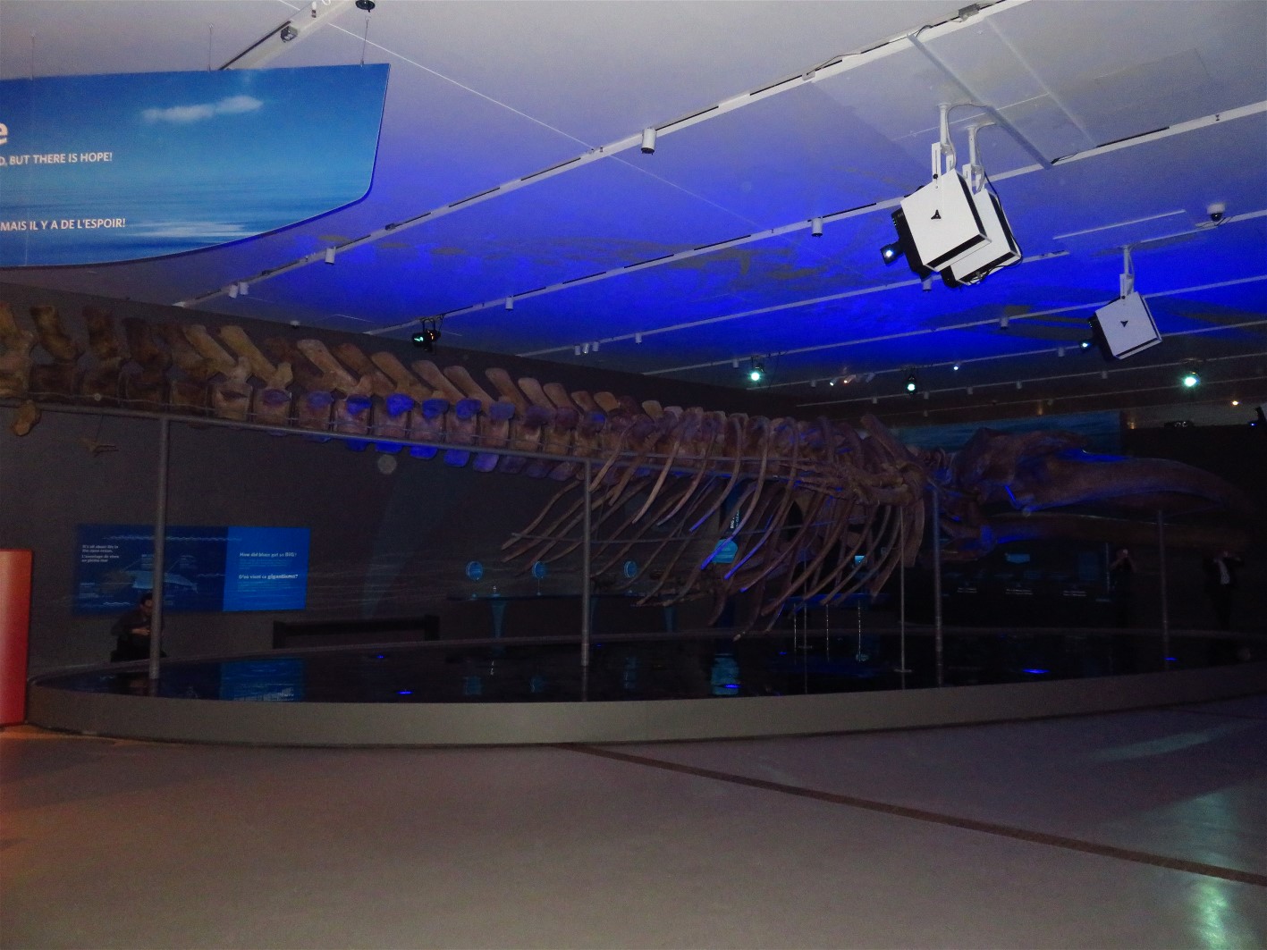 The World of Gord: Out of the Depths, The Blue Whale Exhibit at the ROM