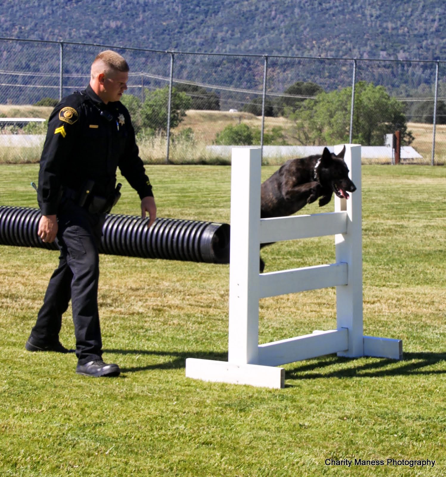 Copper Gazette: Sheriff Dept unveils new K9 Narcotics Dog 'Buster'