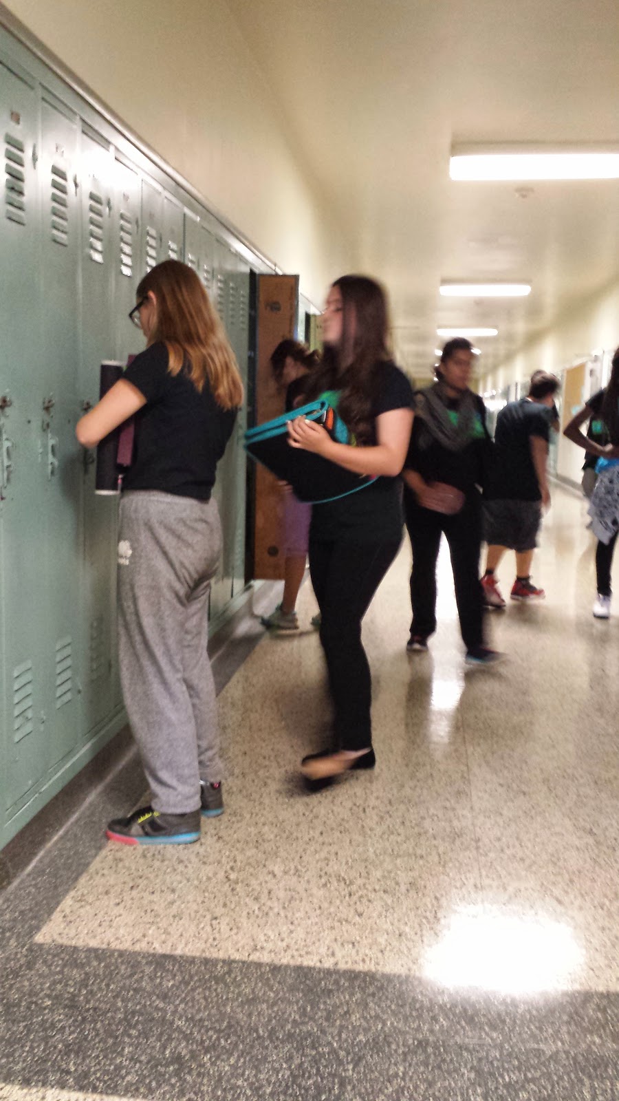 nemehill: Fisher Park P.S./Summit Alternative School