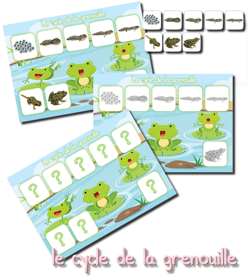 La maternelle de laurene, Maternelle, Grenouille