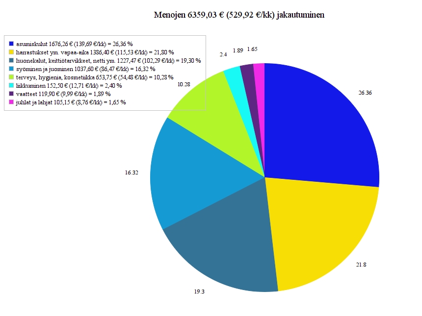 Mihin se raha menee?: Vuoden 2015 tulot ja menot