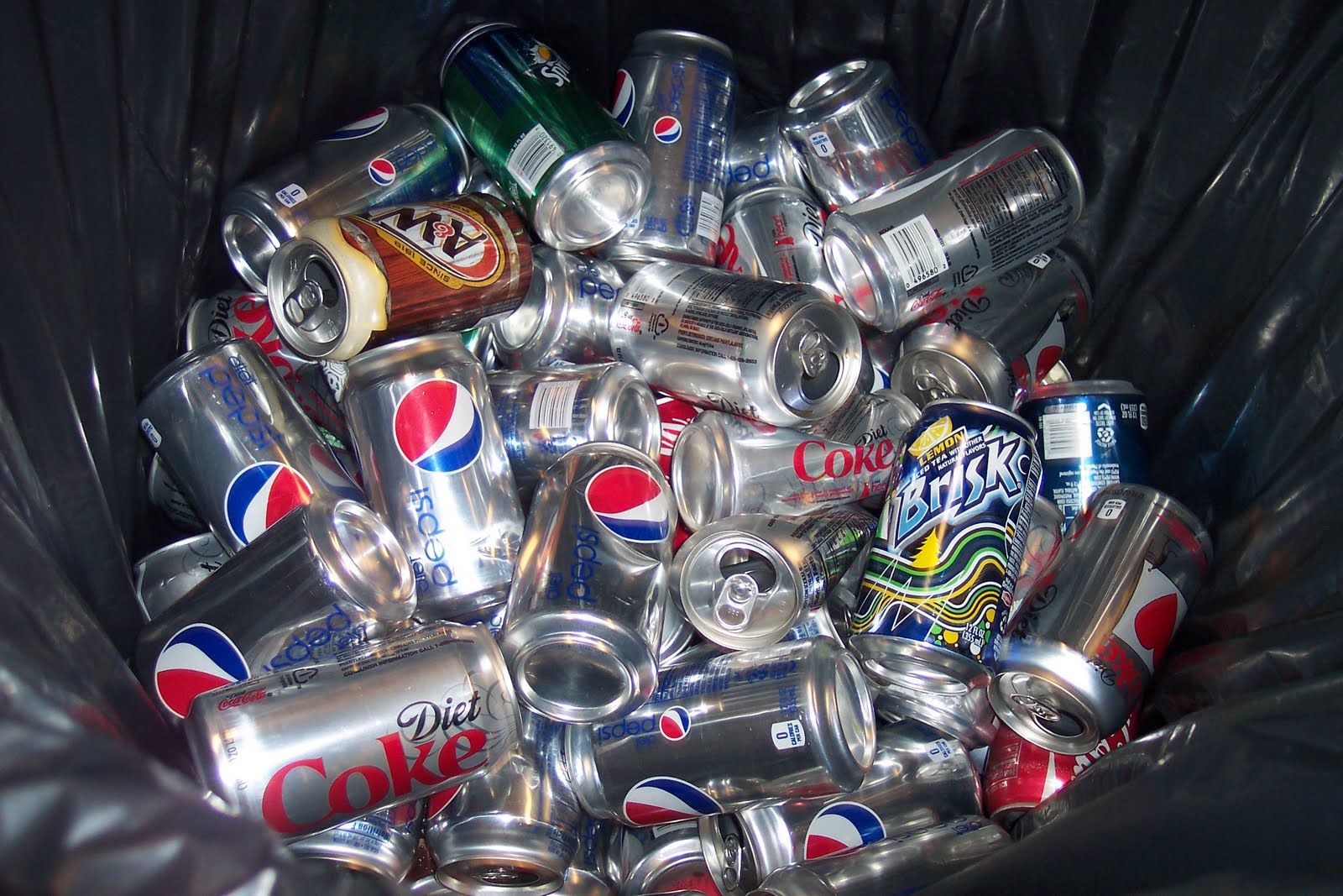 Welcome to Our 6th Grade Coca-Cola Project: Have Cans....Must Recycle ...