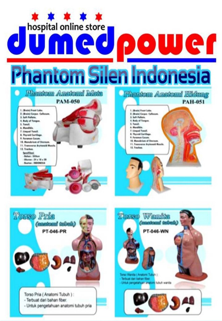 Jual Alat Peraga Phantom Murah | Poltekkes Kemenkes | PT.DUMED POWER ...