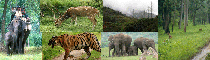 Visiting places of India: Coorg or Kodagu, Karnataka