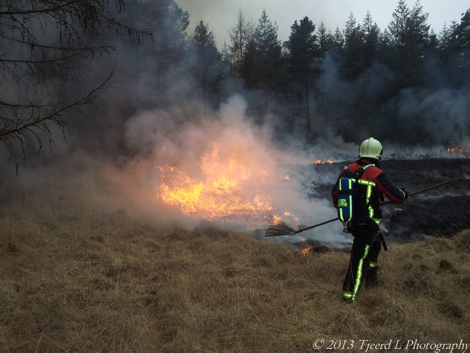 Beleef de natuur: Verwoesting van de natuur