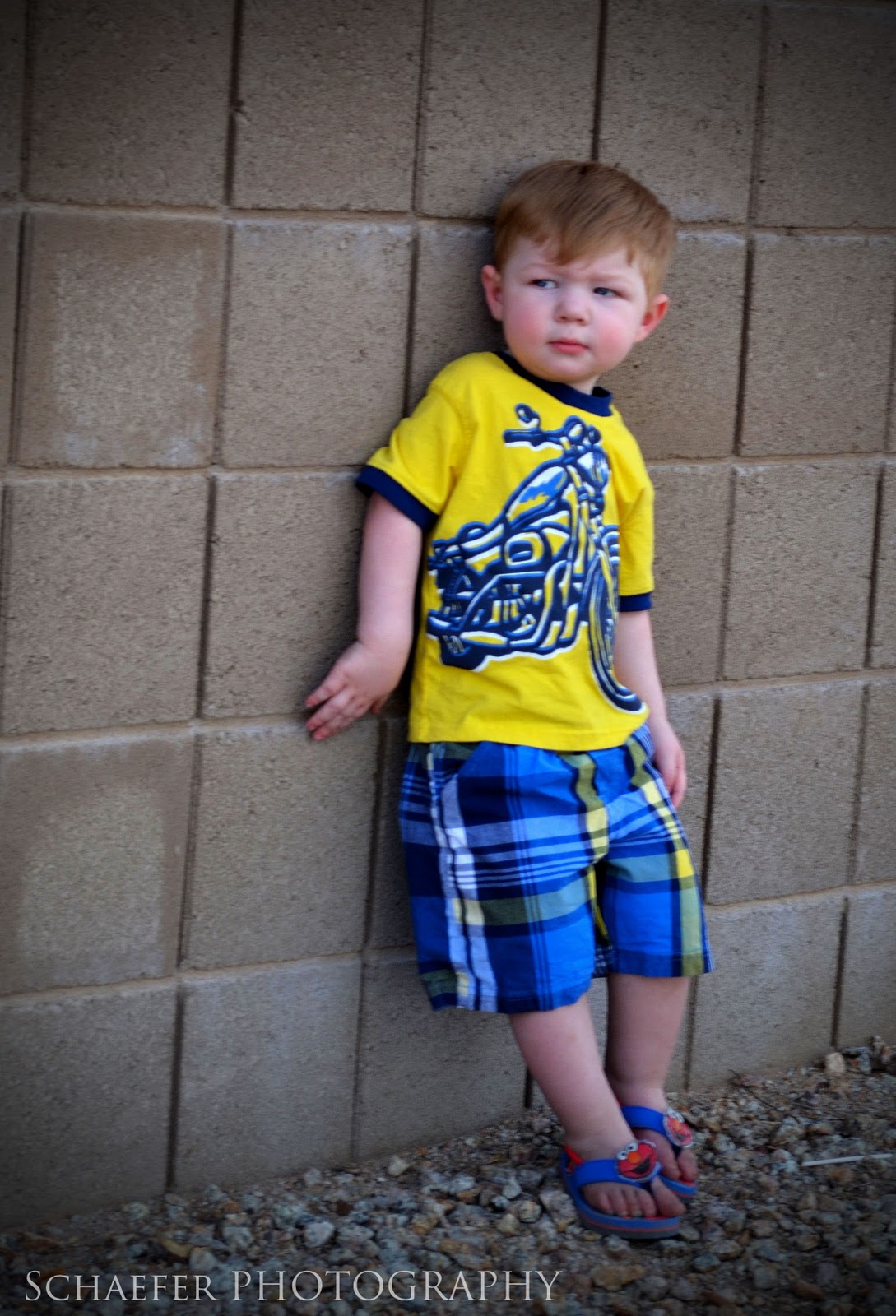 Schaefer Photography: Two Adorable Toddlers