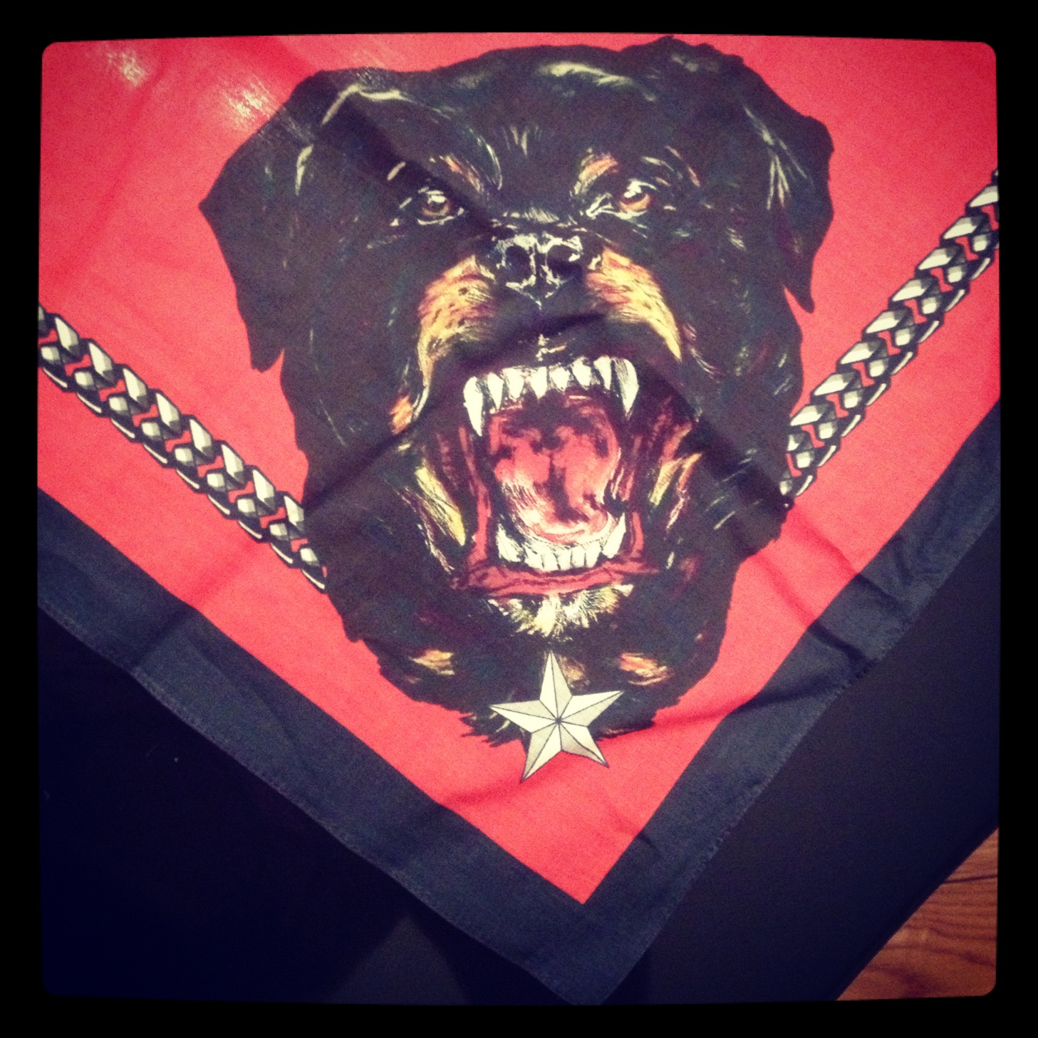 Aidan.Ba: Finally!My Givenchy "Rottweiler" printed t-shirt & scarf ♥