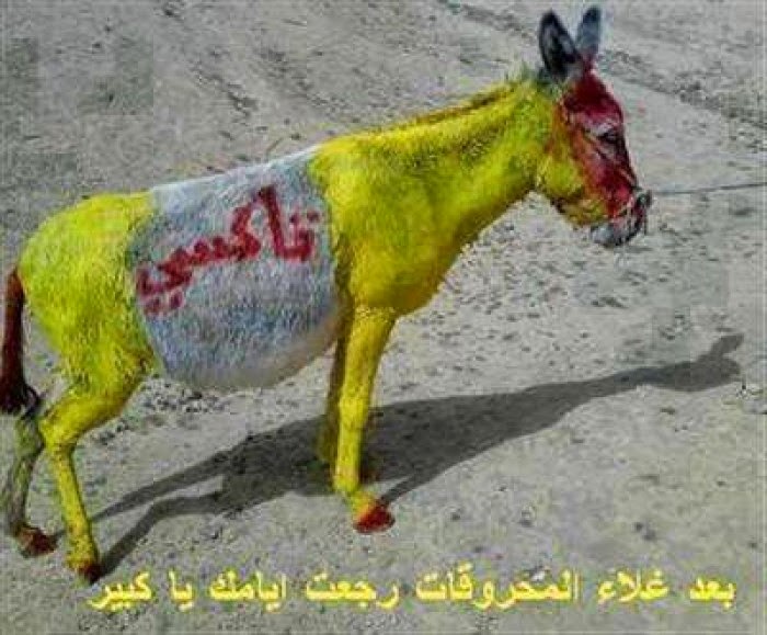 hhhhhhhhhhhh ~ أيوب للمغاربة