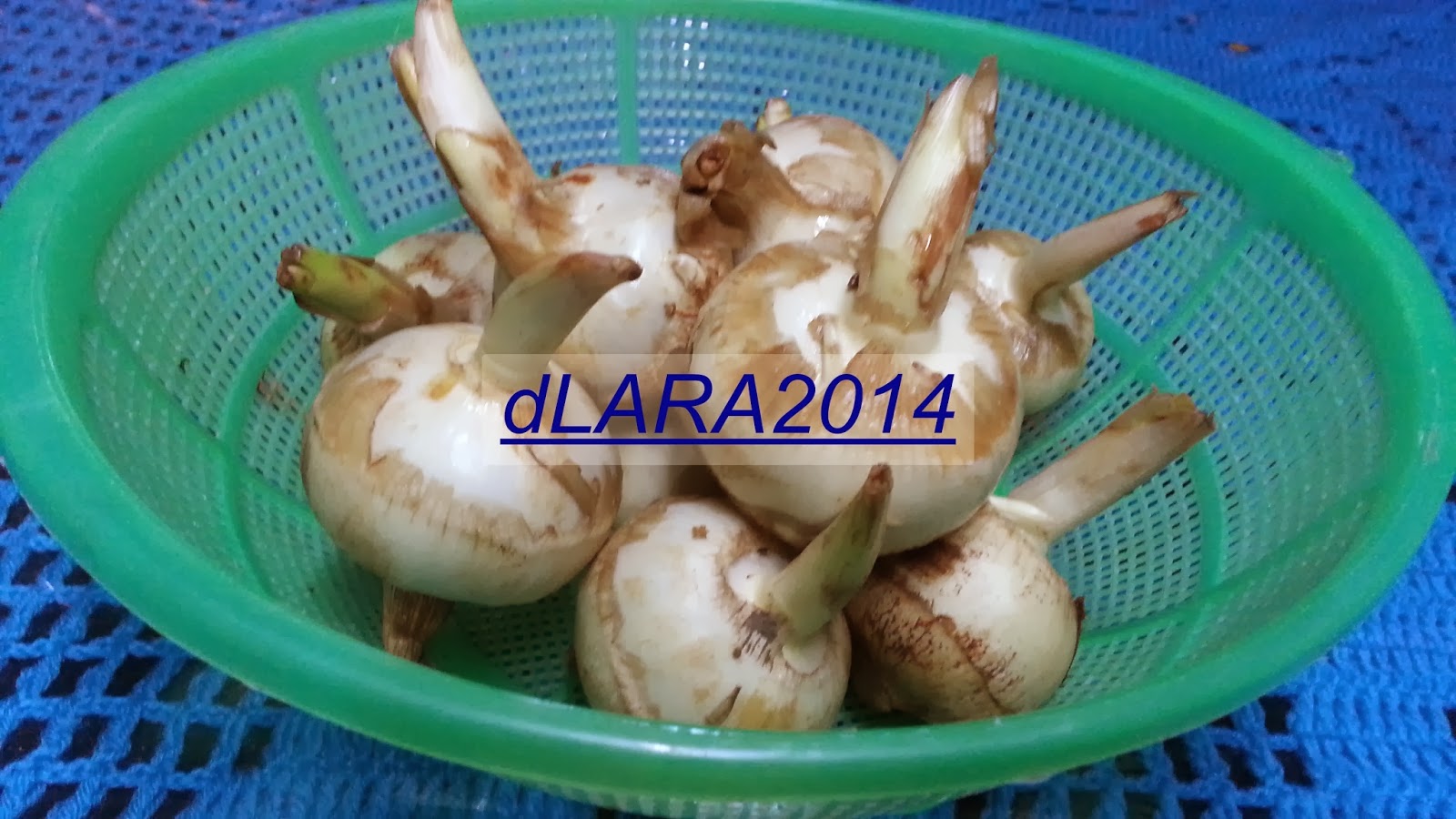 Dunia dLara: Kerepek buah ngaku/arrow head