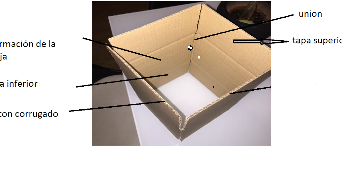 Las cajas: Descripción gráfica de la caja