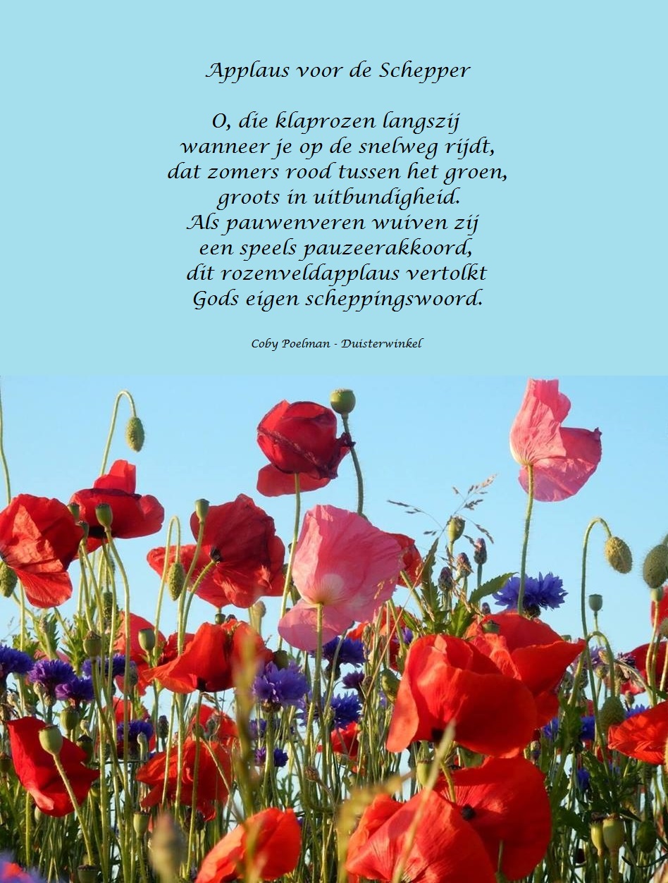 cobypoelman.blogspot.com : Applaus voor de Schepper
