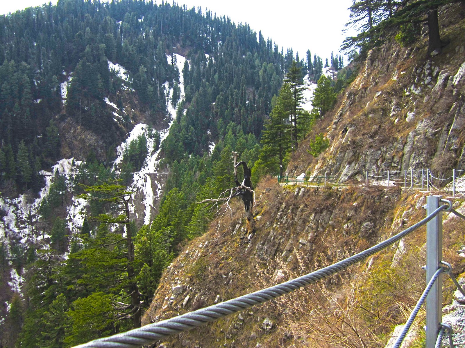 Explore Indialand: Ayubia National Park – A Perfect Wildlife Getaway In ...