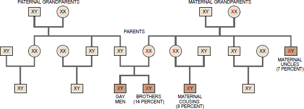The Scientific Journals: (Part 4) Evidence for a Biological Influence ...
