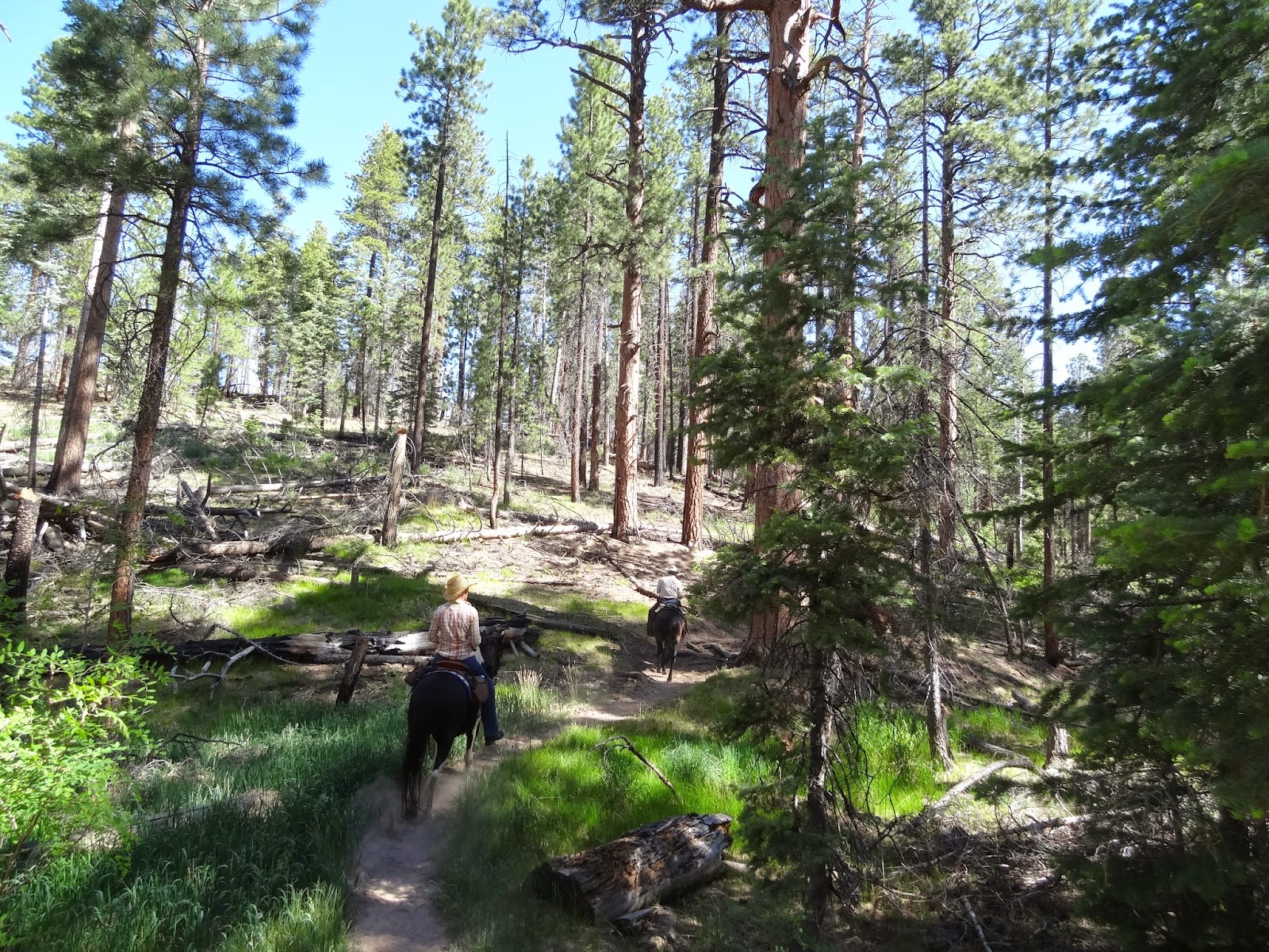 Dream Packer Trail Adventures: Grand Canyon, North Rim 2014