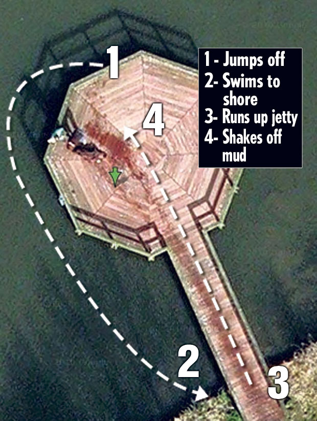 érase una vez Niels H. Abel y Evariste Galois: GoogleMaps 52.376552,5. ...