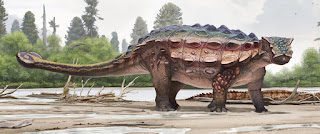 Species New to Science: [Paleontology • 2018] Akainacephalus johnsoni ...