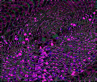 gif: LOS GIFS MAS RAROS