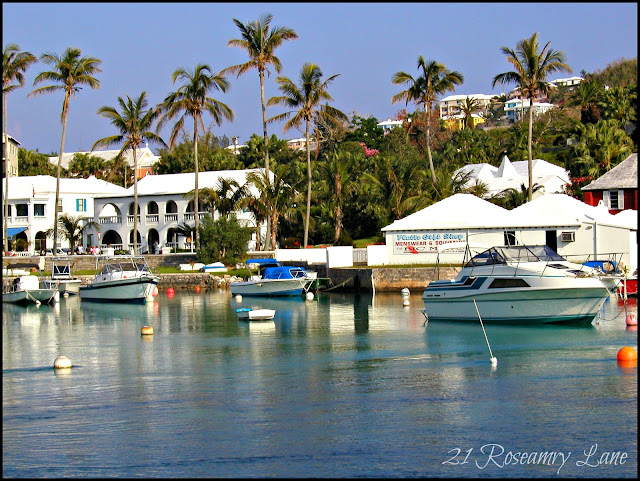 21 Rosemary Lane: Chasing Away the Winter Blues