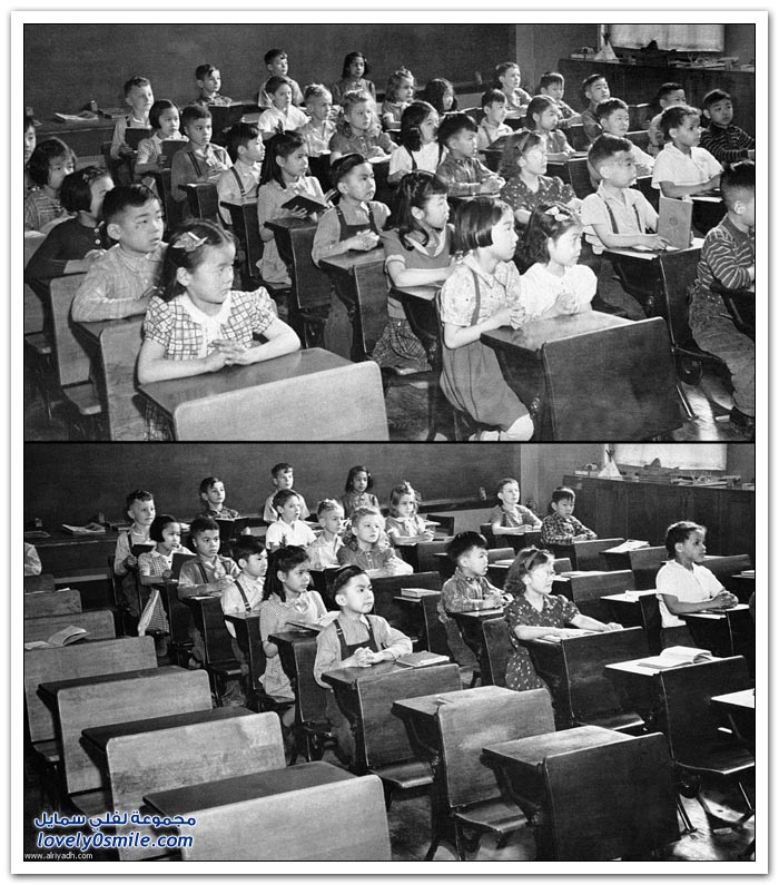 التربويون الجدد: اليابانيون الأمريكيون Japanese Americans