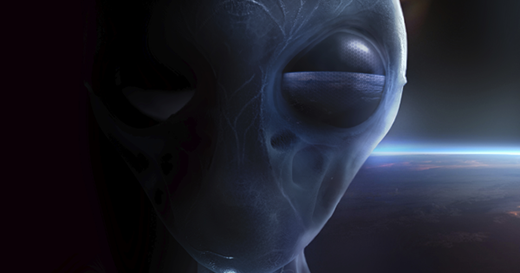 Alien Invasion: Your Dog And Infections