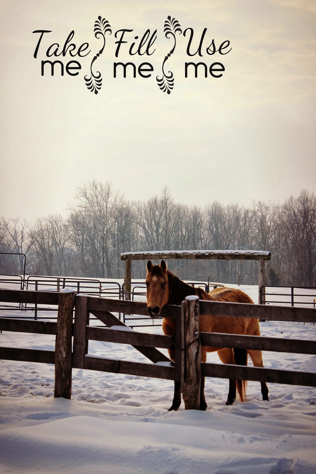 Trusting You Lord: ~Fill me Lord Jesus