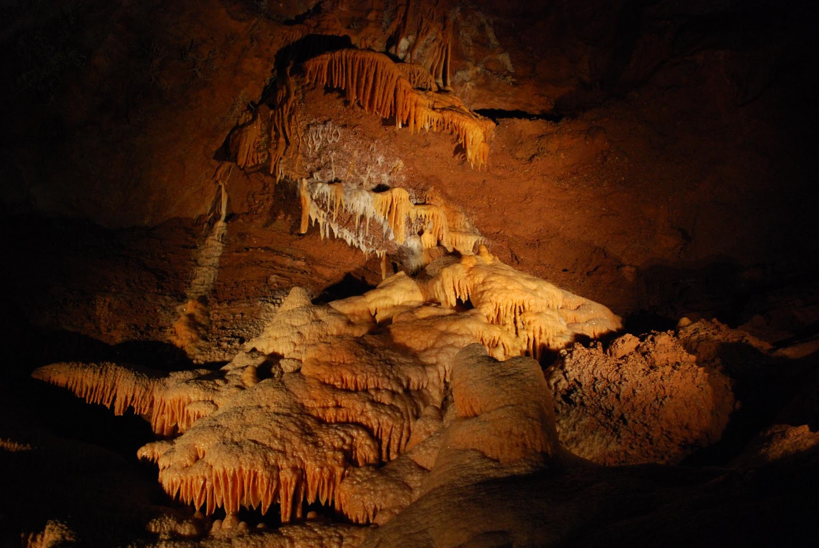 Karst Worlds: Cave-Dwelling Invertebrates Enjoy Exotic Cuisine