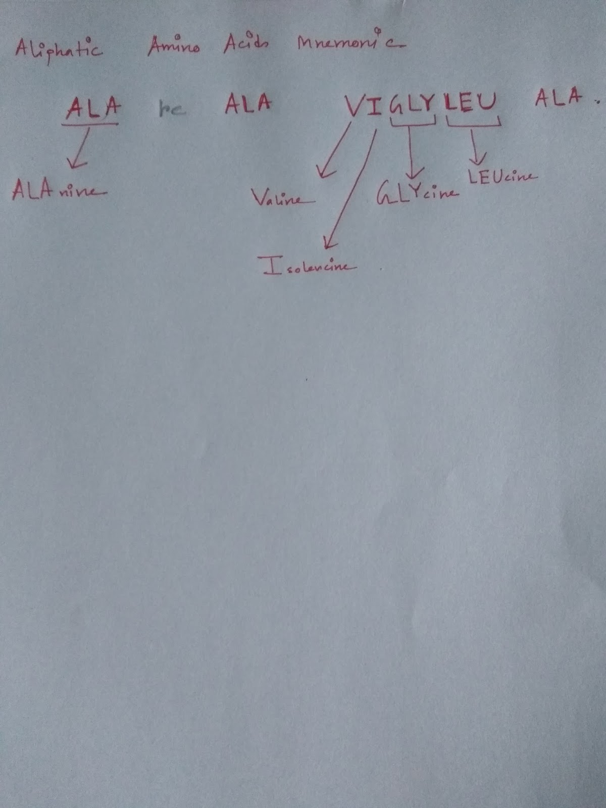 Aliphatic Amino Acids