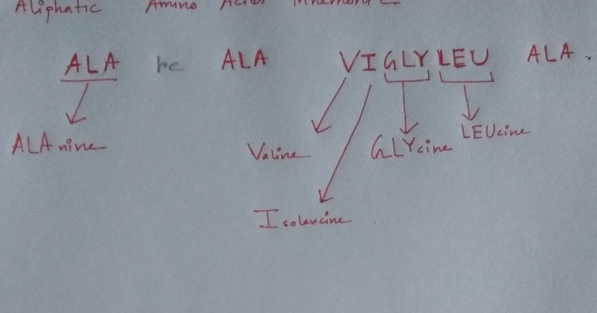 Huge medical mnemonics: Aliphatic amino acids mnemonic