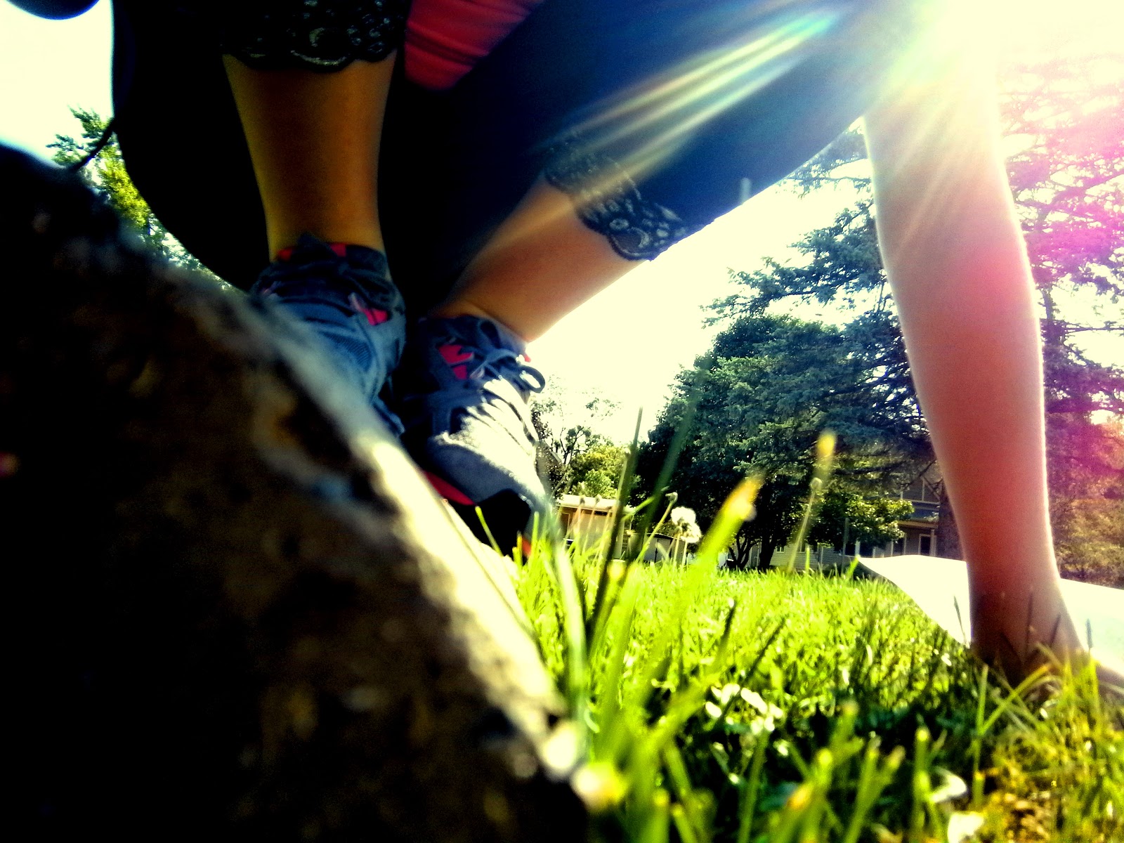 Miss Arty Pants: Digital Photography Picture Taking Assignment