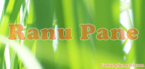 Desa Ranupane - Jalur Pendakian Gunung Semeru | GunungSemeru.com