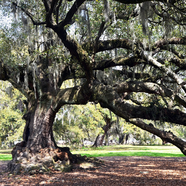 Make Something 365 & Get Unstuck: January 2016