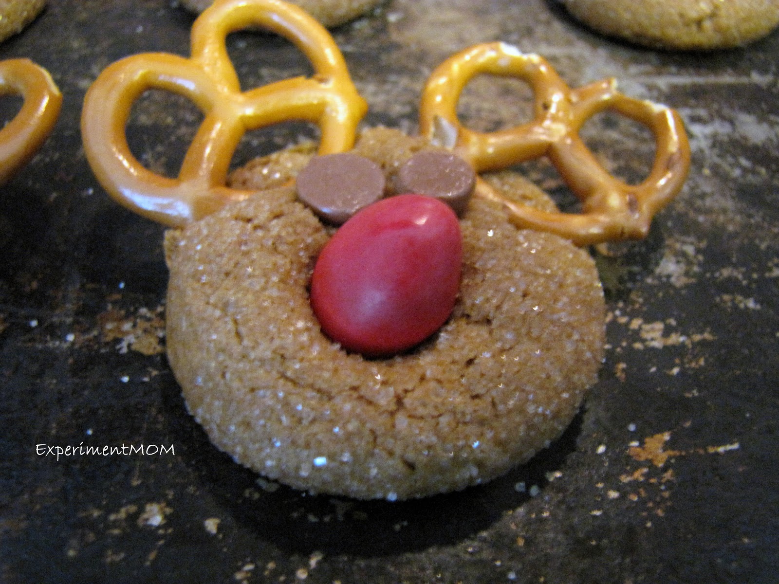 ExperimentMOM: Reindeer Gingerbread Cookies