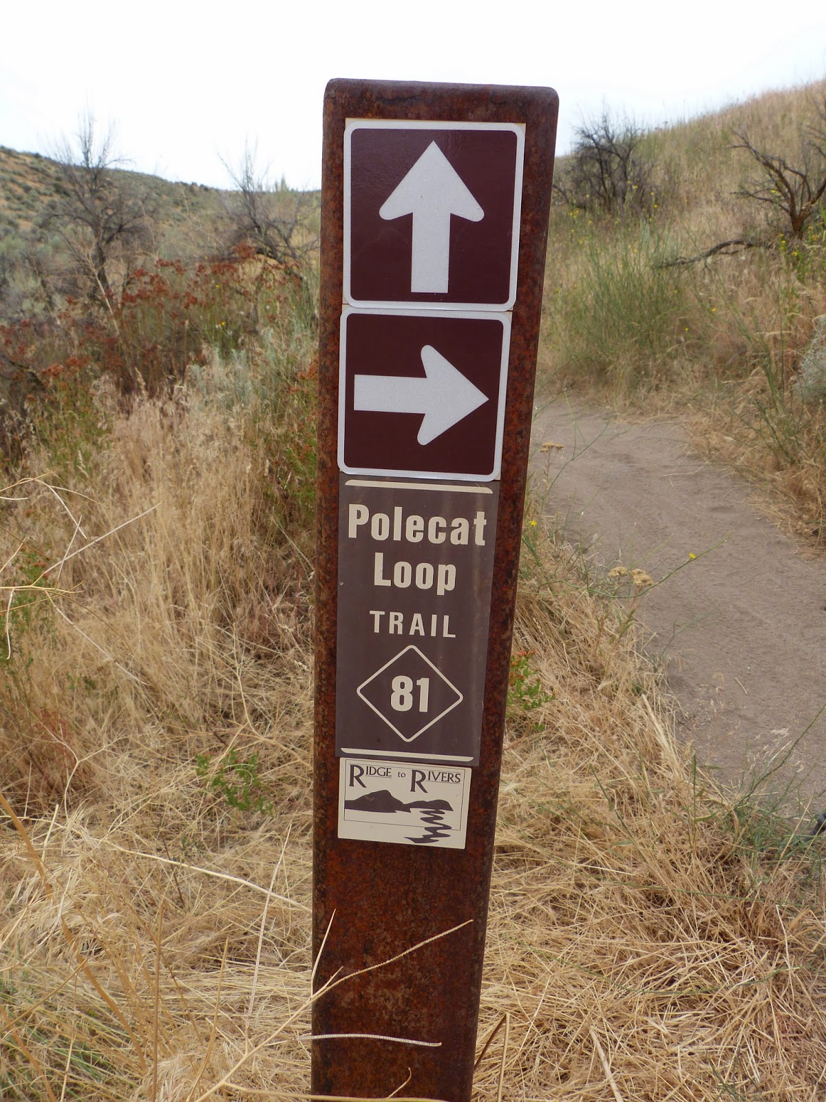 Treasure Seekers: Polecat Trail Hiking Loop - Ridge to Rivers