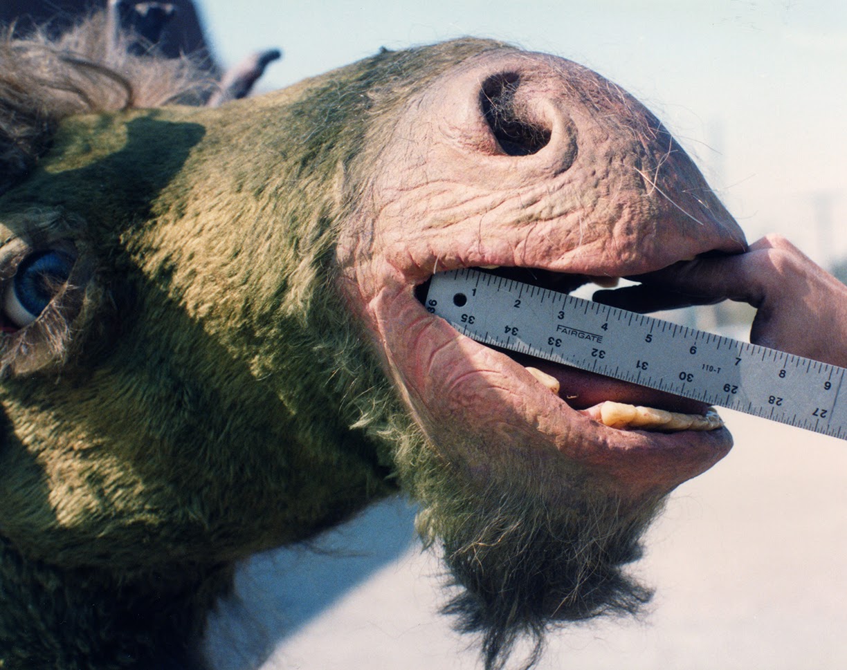 Kevin Kidney: Return to Oz: The Gump